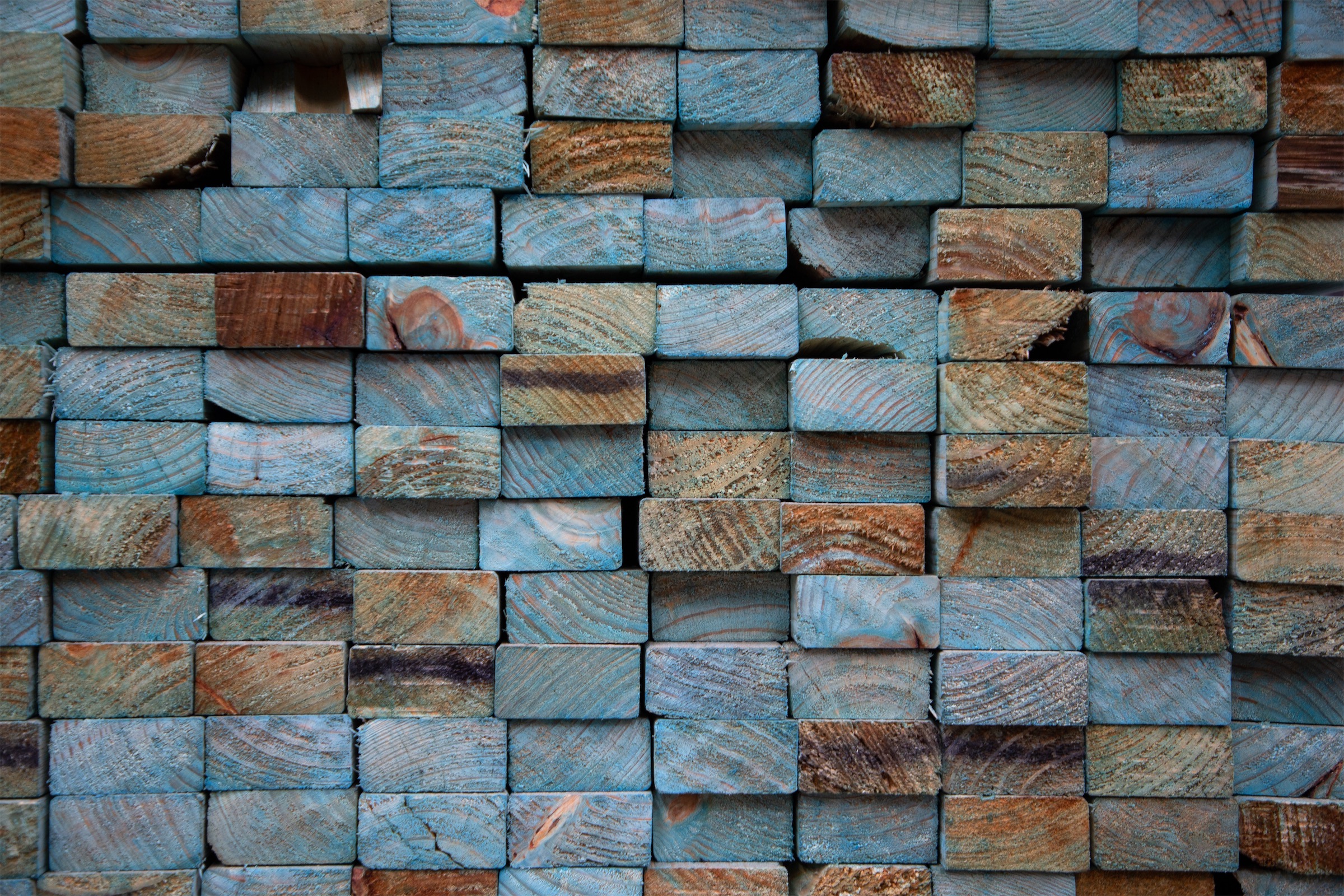 Contact Us | Programmed Timber